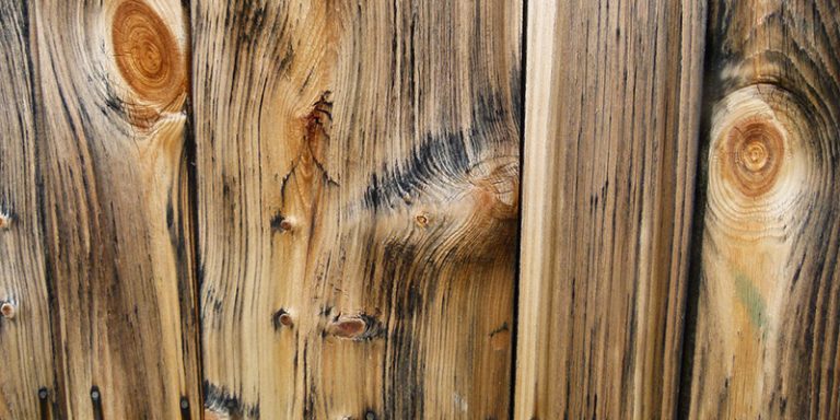 Exotic Wood - Kimal Lumber